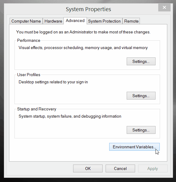 Environment Variables - EI Metrics Environment Variables - EI Metrics